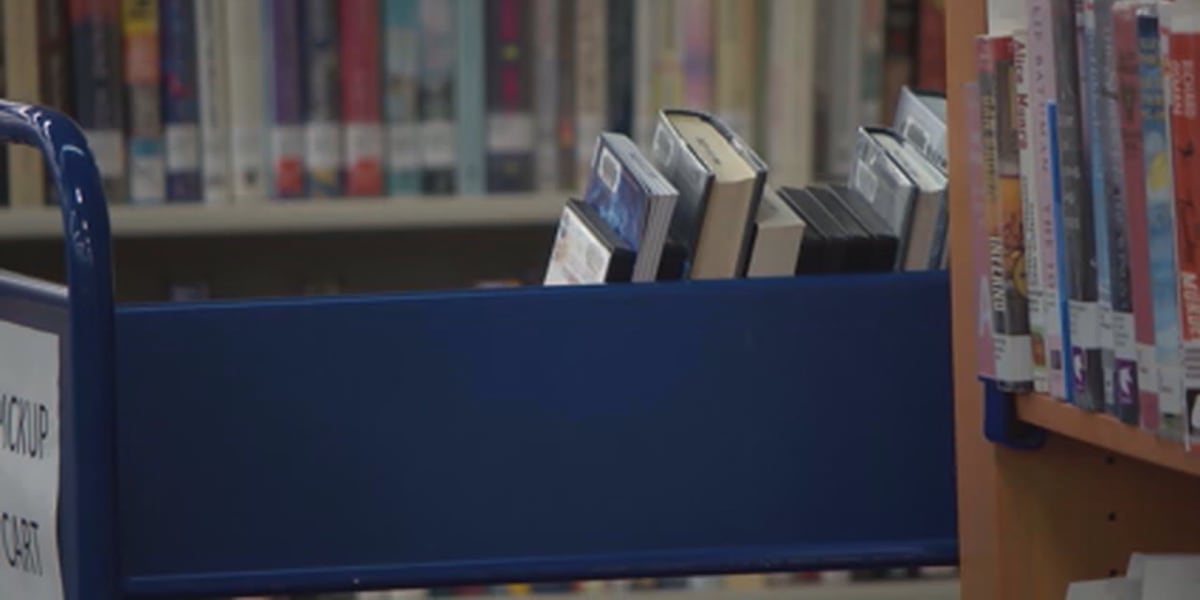 Iowa Republicans propose banning ‘obscene’ books from public libraries Iowa Republicans propose banning ‘obscene’ books from public libraries